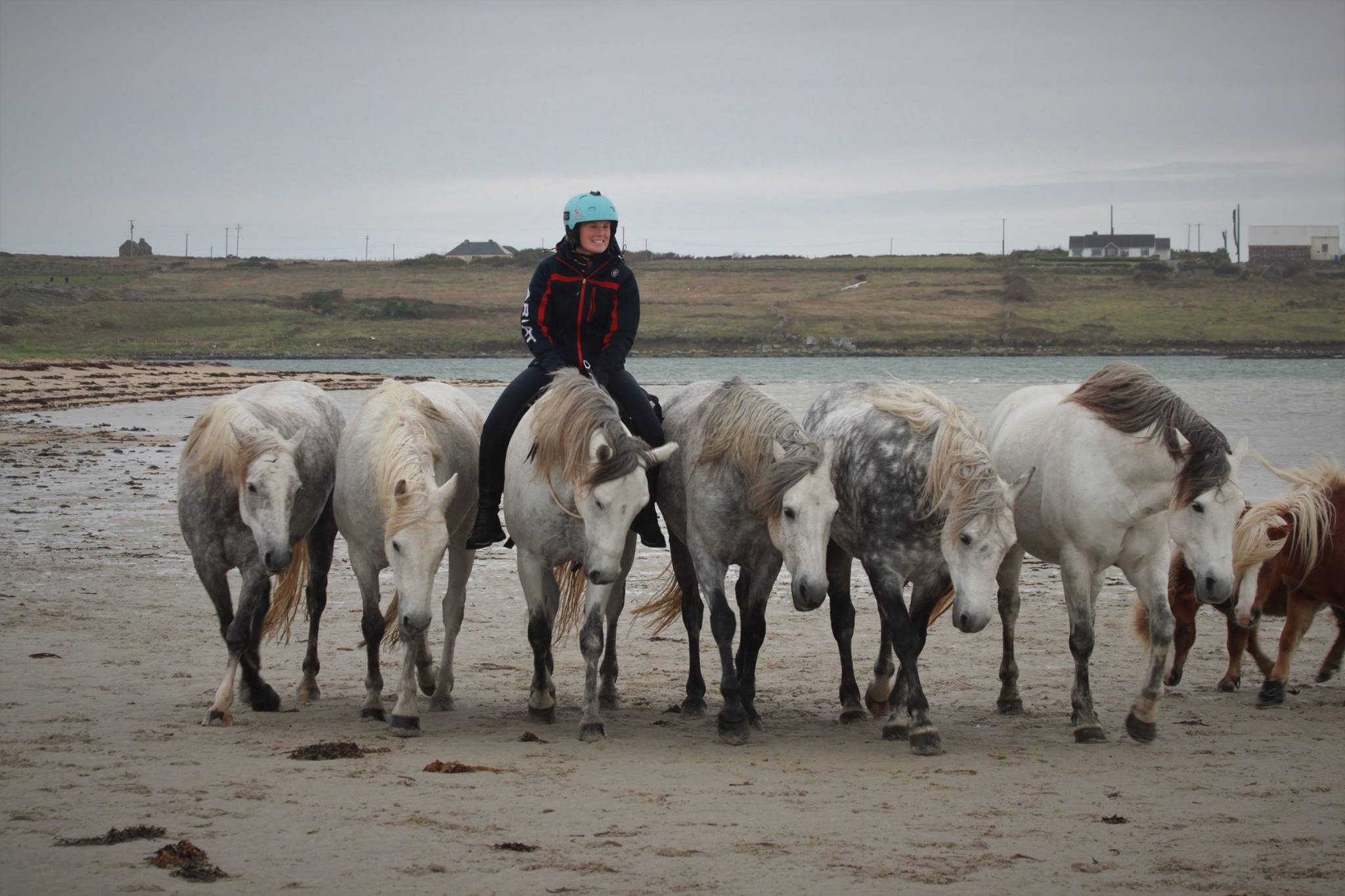 Emma Massingale on Connemara ponies in her Ariat gear – Horseaware