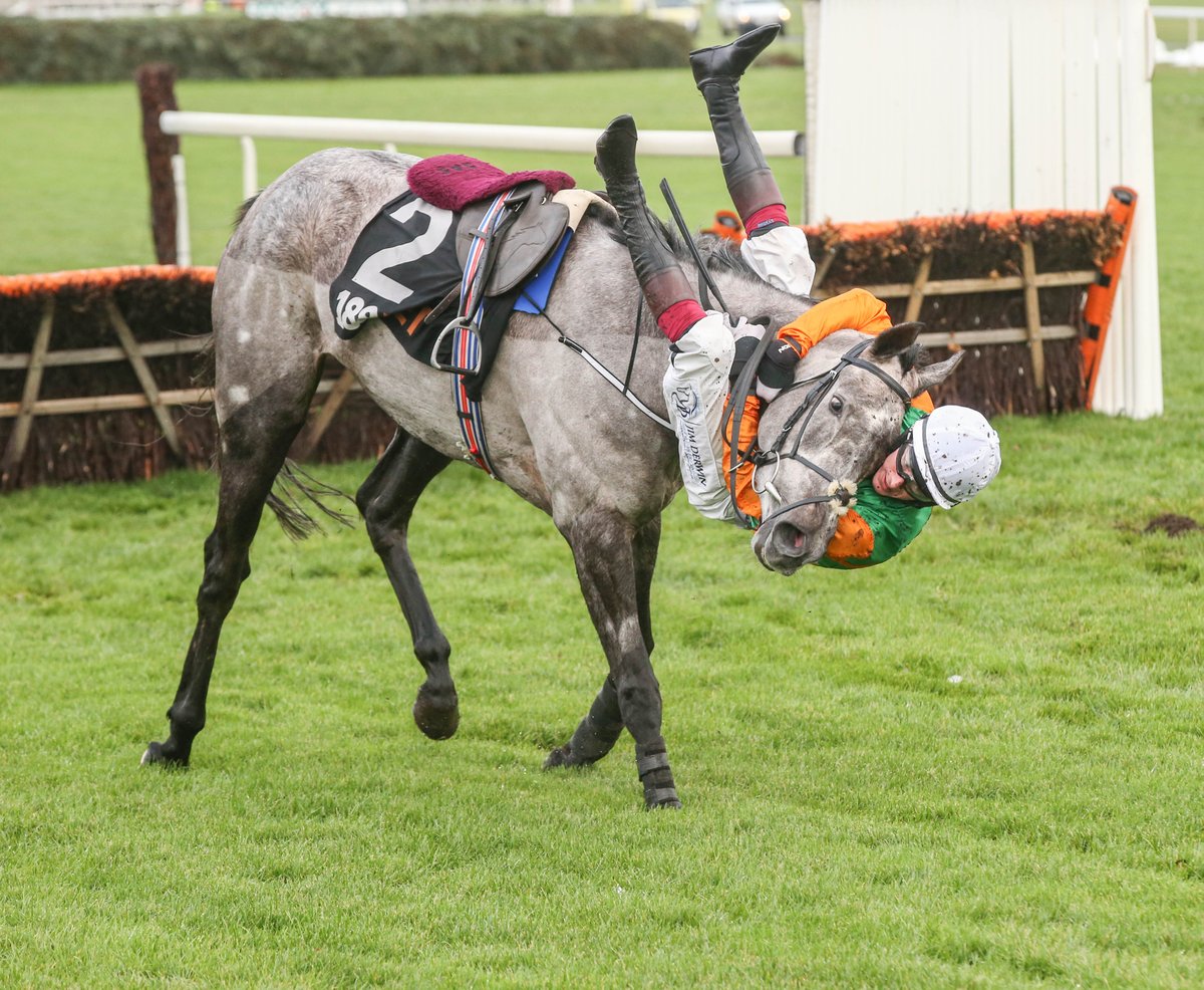 Take a bow Shane Shortall @RacingPost – Horseaware