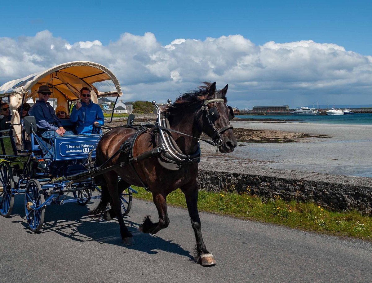 Capall agus carr ag teacht.. – Horseaware