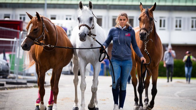 Horse manure can ‘contribute’ to reducing reliance on fossil fuels ...