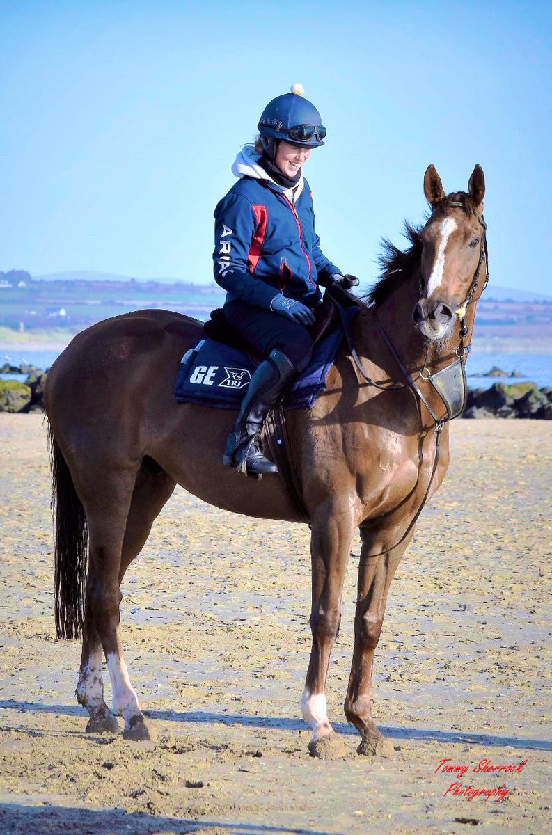 .@camsharples Happy retirement to my Kruzhlinin #Kevin – Horseaware