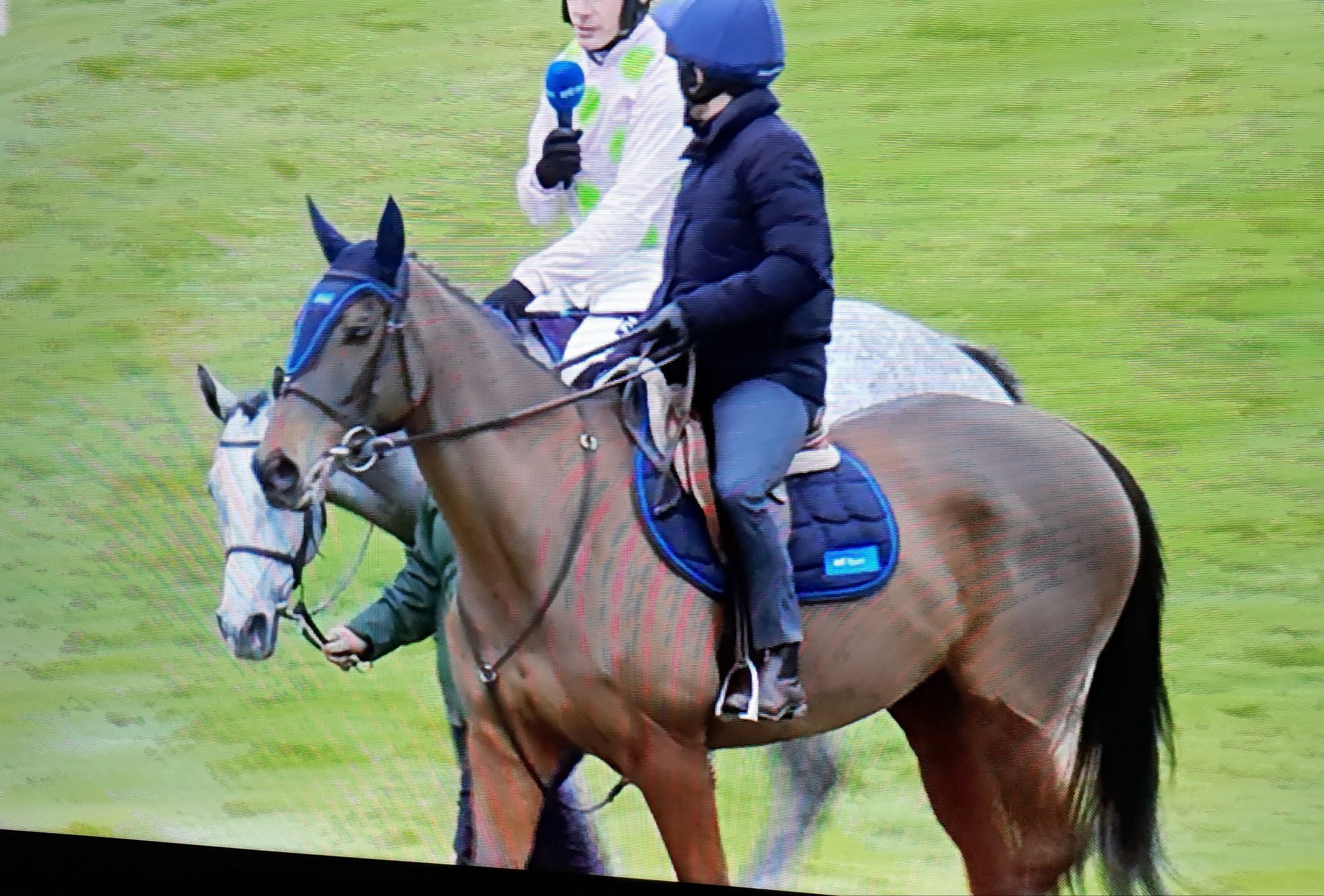 Thunder and Roses a Beauty 🤩 with thanks to Katie Walsh – Horseaware